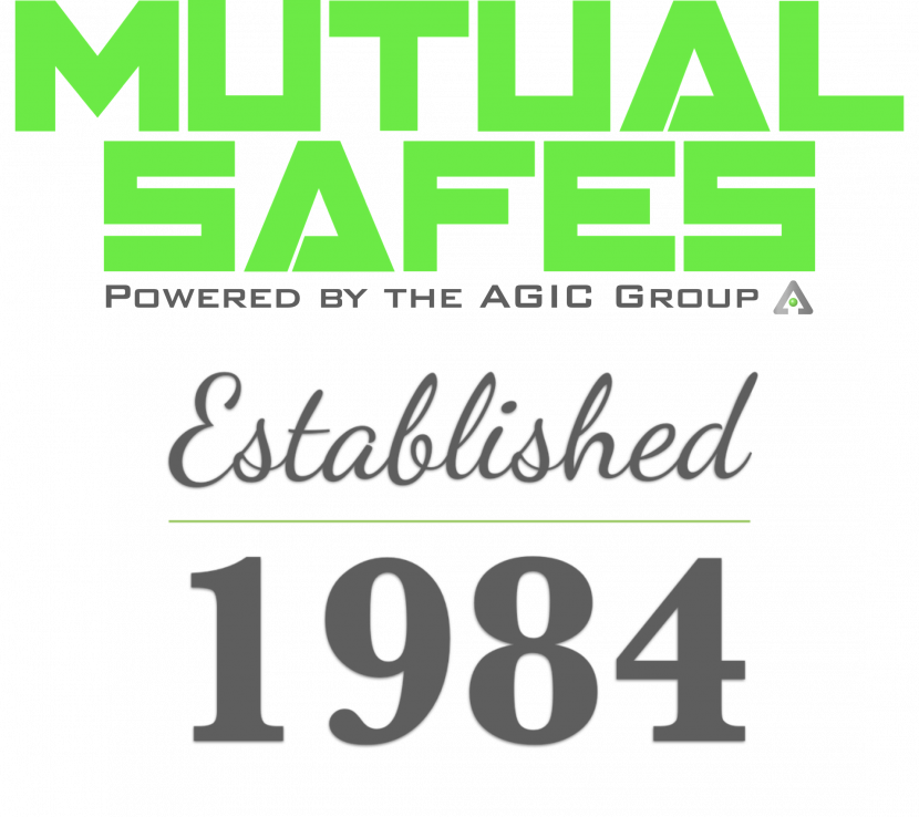 Drop Safes | Order Online at Mutual Security Group